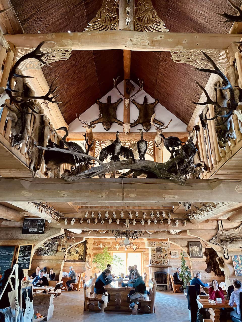 Bieszczady samochodem - 18 pomysłów na wycieczkę. Najlepsze punkty ...